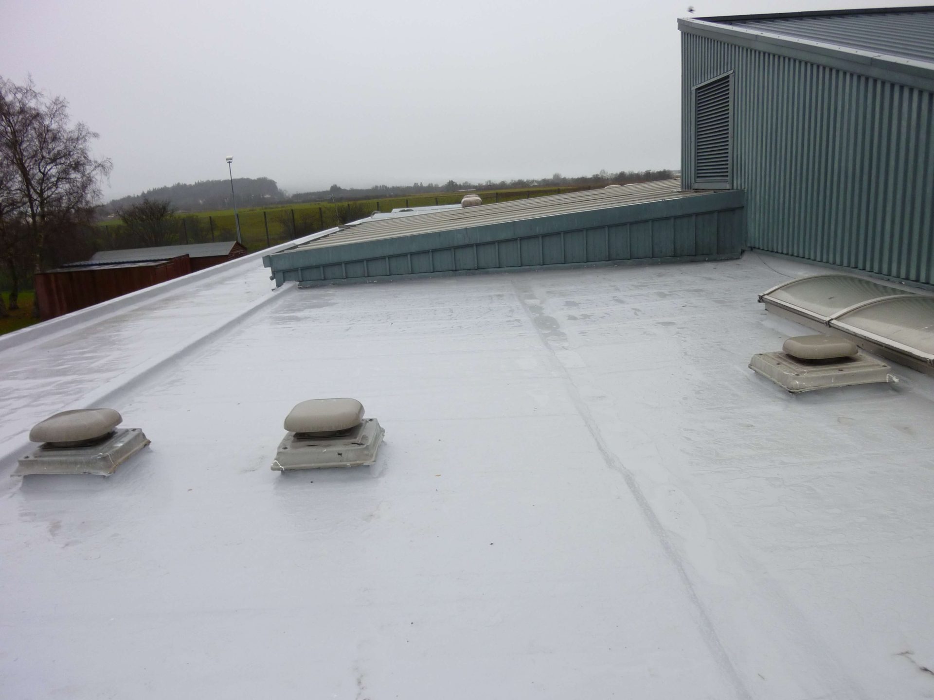 Flat Roofing Project in Stirling - Roof Recoating Case Study
